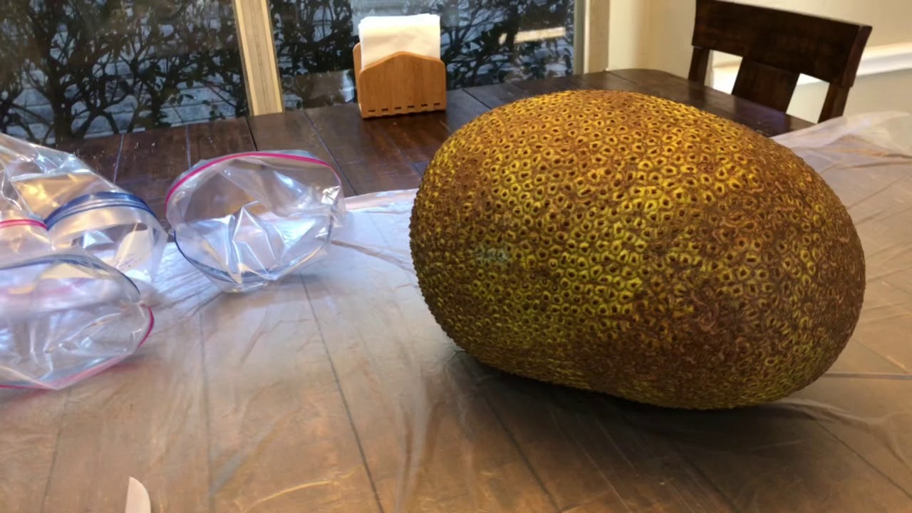 How to pick a good Jackfruit and peel it? - YouTube