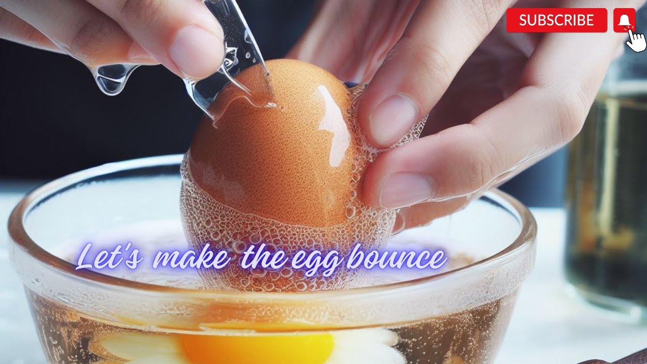 Egg in vinegar experiment/bounce egg/ science'/ScienceWonders for Kids ...