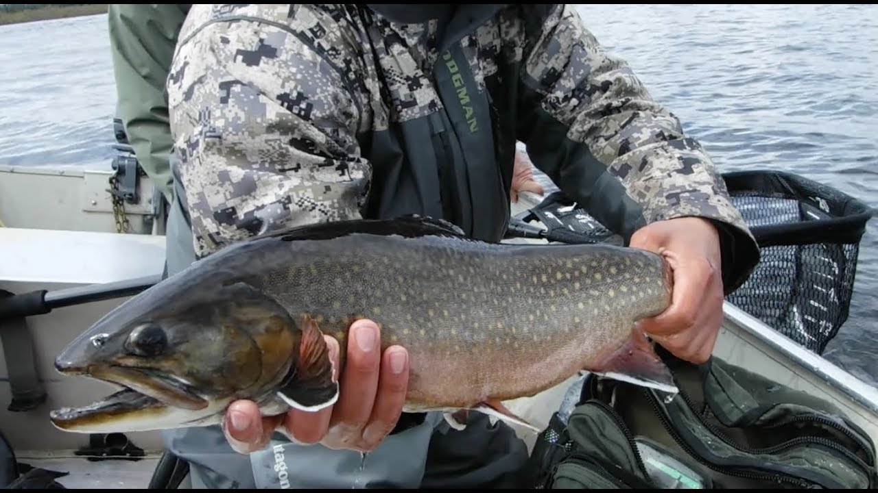 Big Brook Trout - Crooks Lake Lodge - YouTube