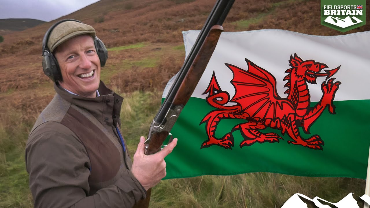 Top-flight Welsh partridges - YouTube