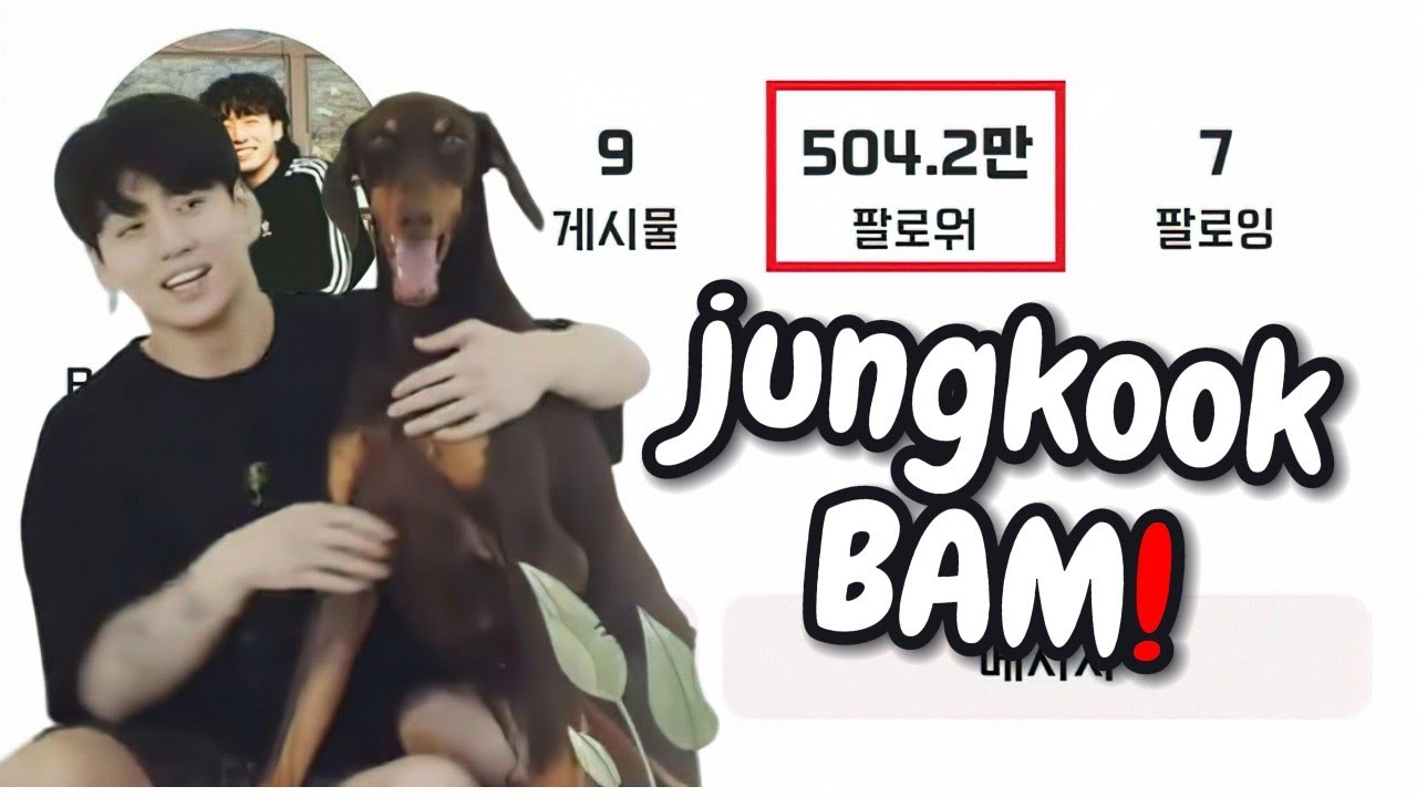 Unleashing the Cuteness: BTS Jungkook's Dog Bam Takes Instagram by ...