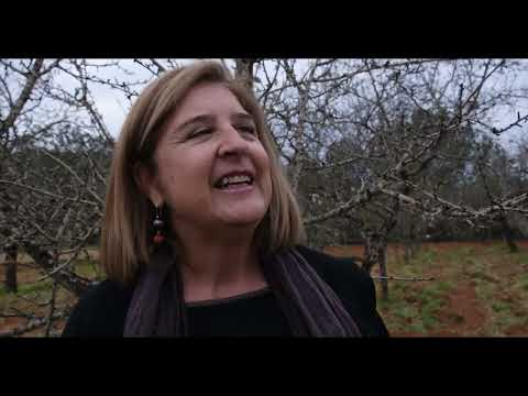 Teresa navarro: AMB LLETRA DE DONA (15_22)