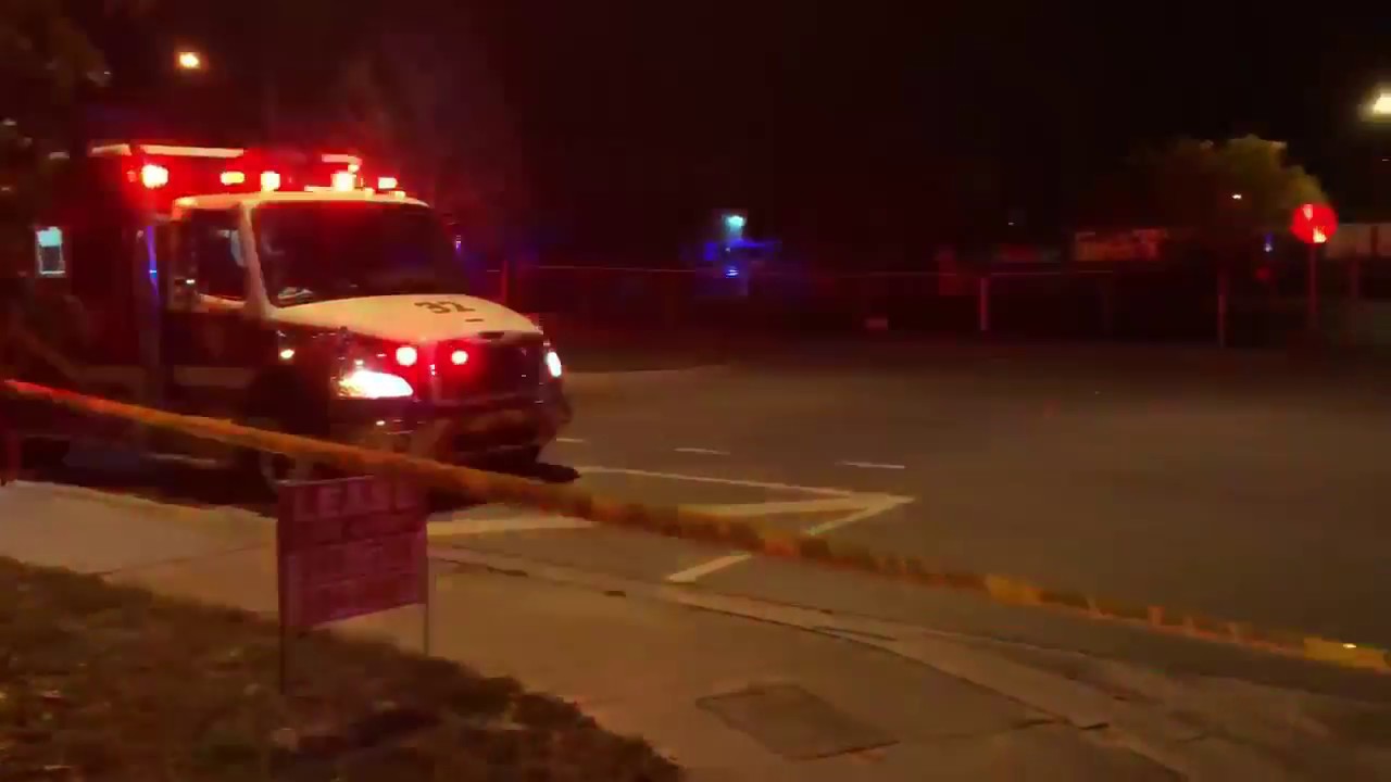 Fire set behind Mandeville Beer Garden in Sarasota - YouTube