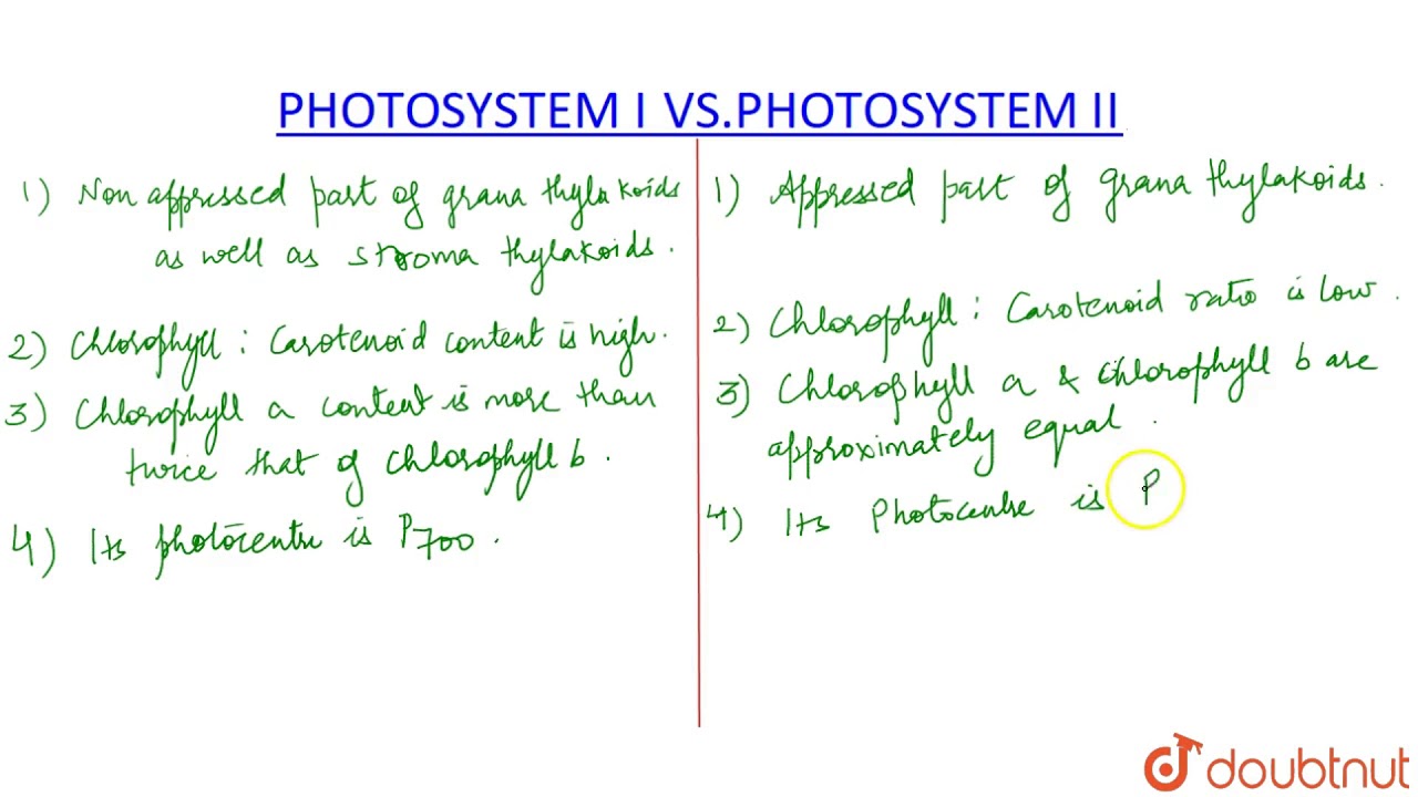 Photosystem 1 And 2 Difference