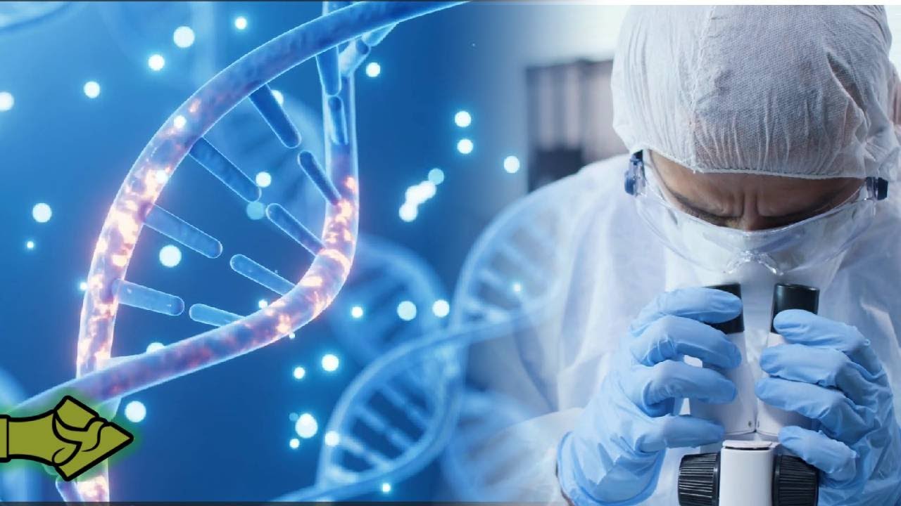 ΜΩΡΑ ΜΕ DNA ΑΠΟ ΤΡΕΙΣ ΑΝΘΡΩΠΟΥΣ – ΕΠΙΣΤΗΜΗ Ή ΕΠΙΚΙΝΔΥΝΟ ΠΑΙΧΝΙΔΙ ΜΕ ΤΗ ...