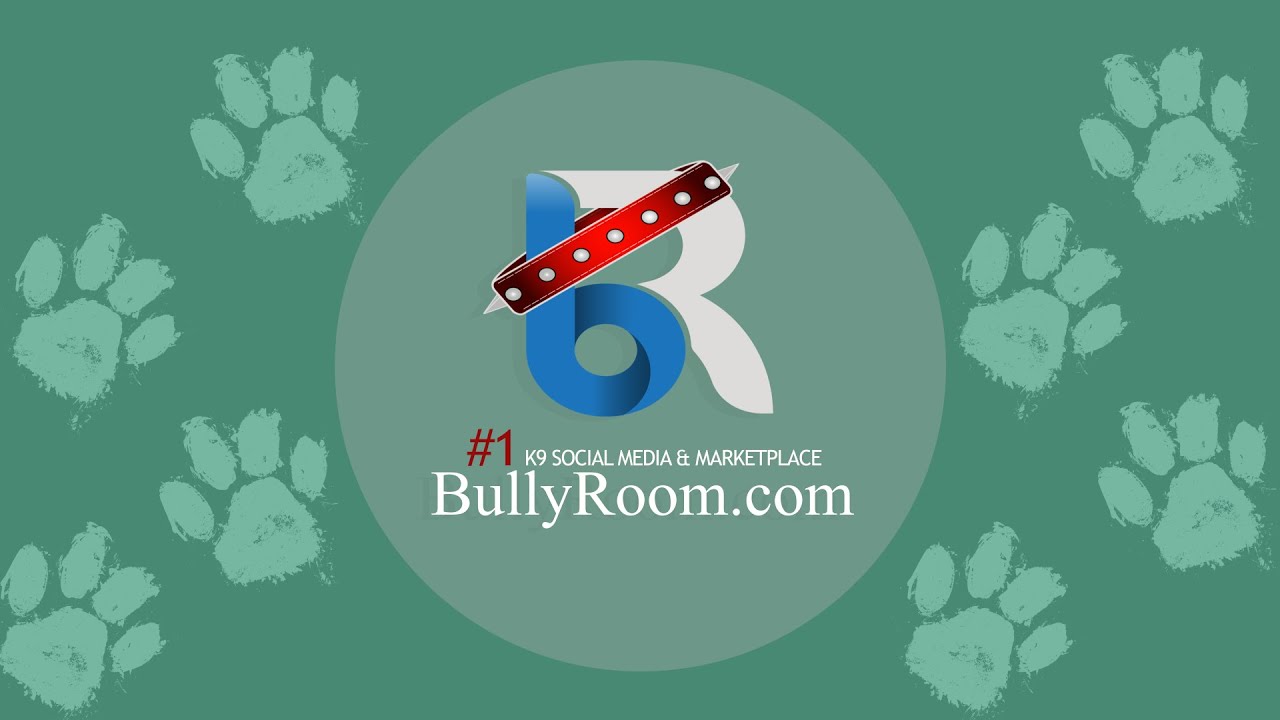 Bully Room Commercial - YouTube