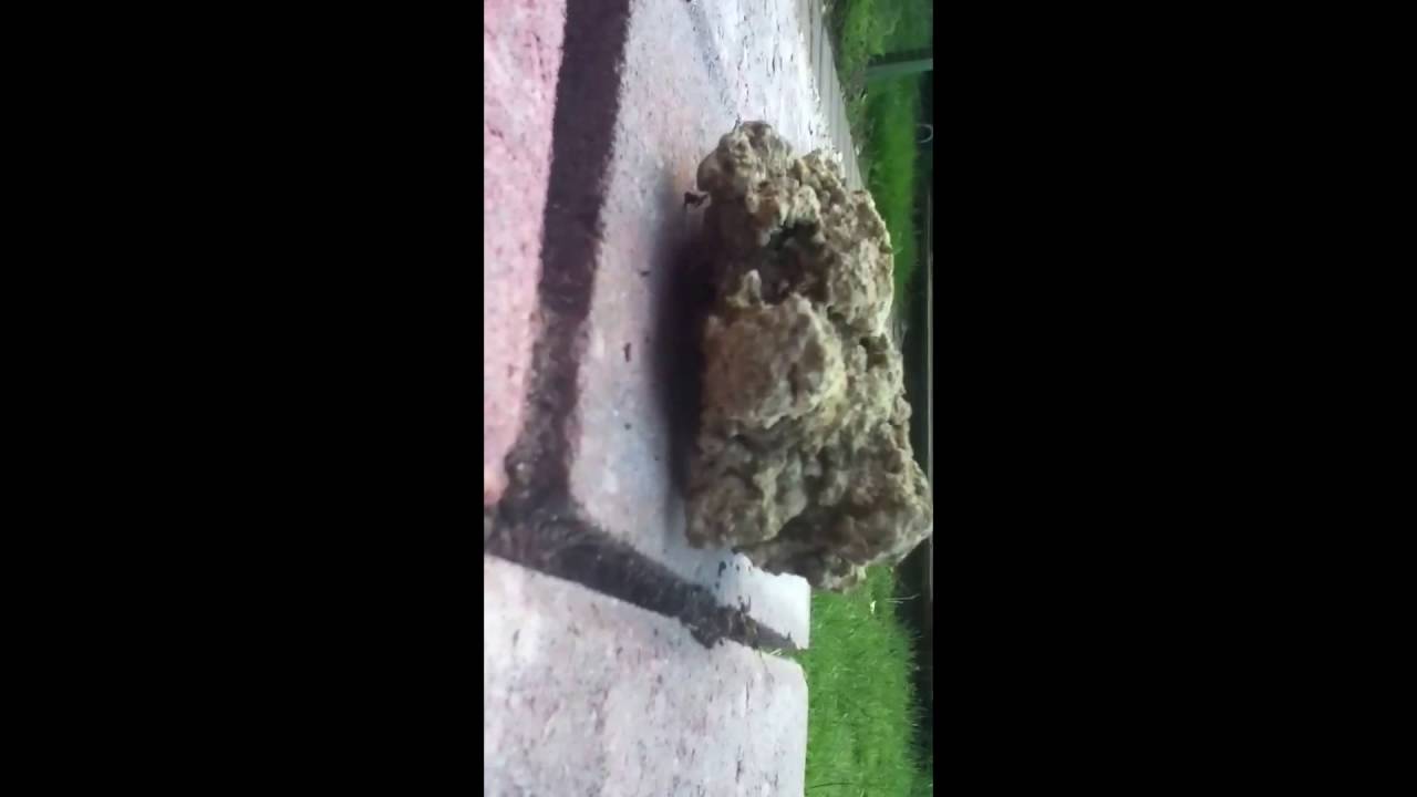 The Adventure of the rock (The Forgiven rock) Ep 2 - YouTube