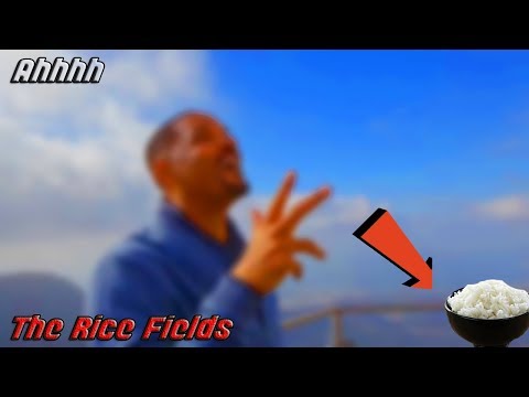 Will Smith is Welcomed to the rice fields by Filthy Frank | Welcome to ...