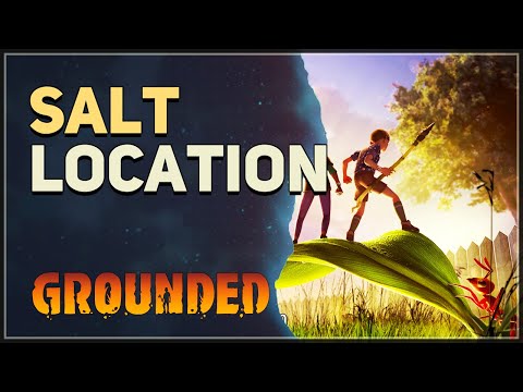 Salt Location Grounded - YouTube
