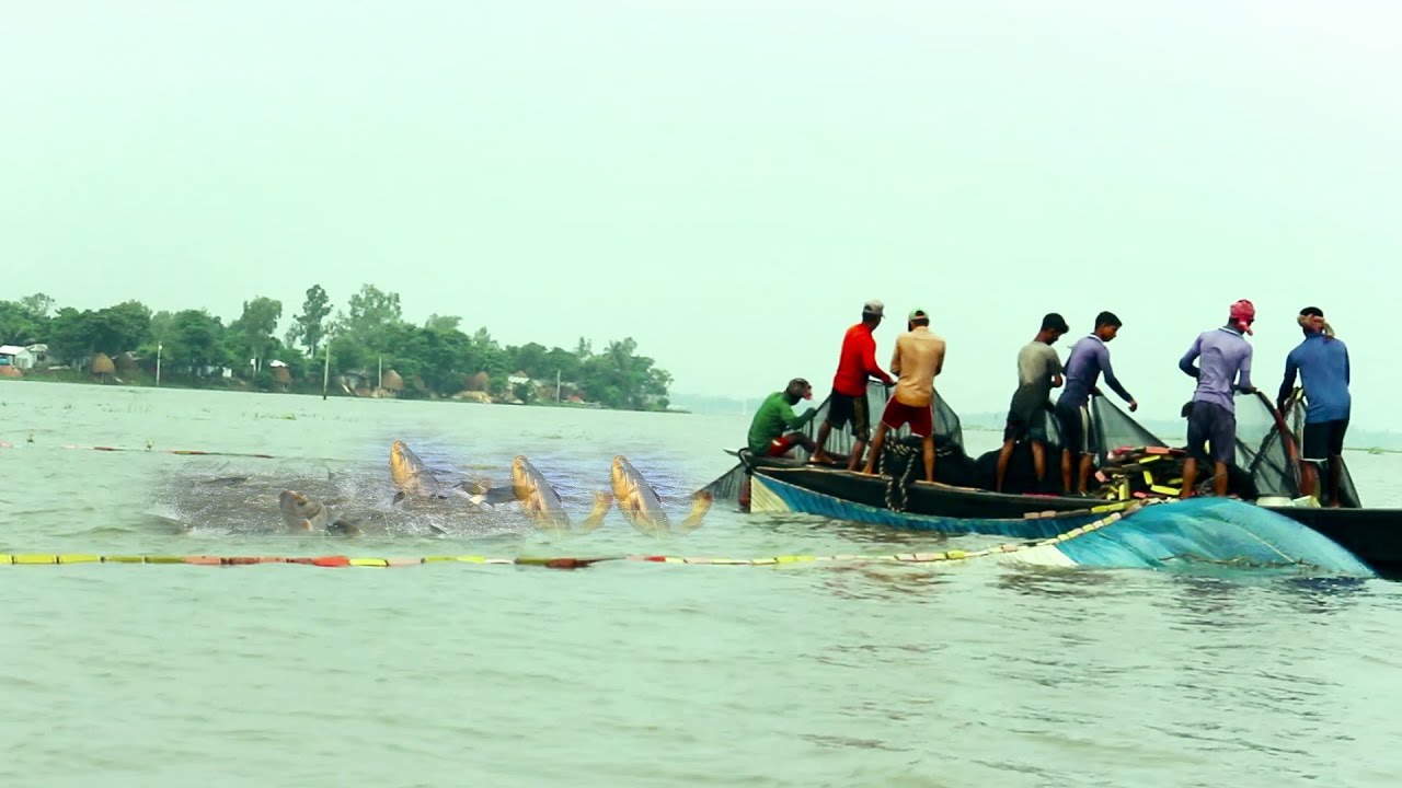 Amazing Fishing Video | Fishing in the rural beel with Badai Net - YouTube