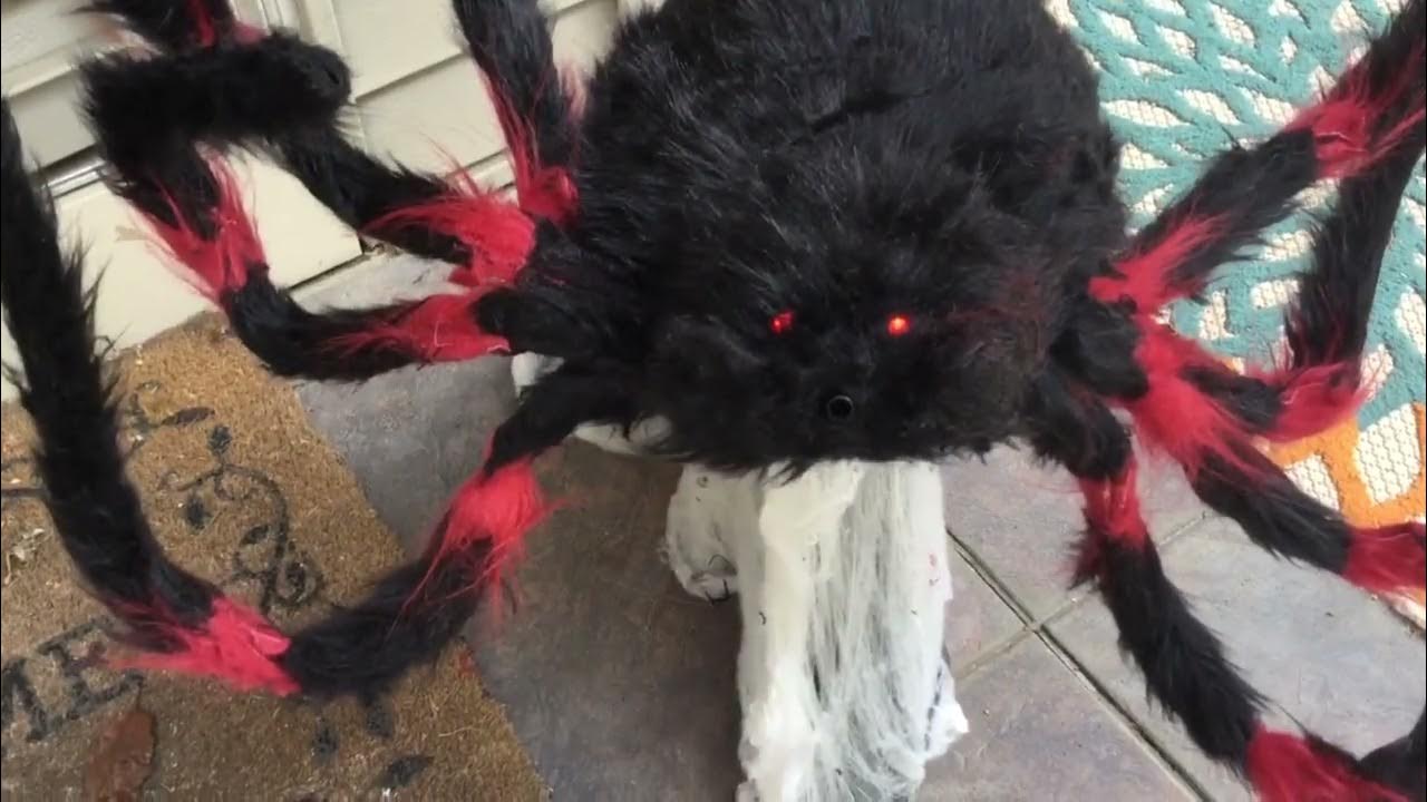 Jumping Spider Spirit Halloween Youtube