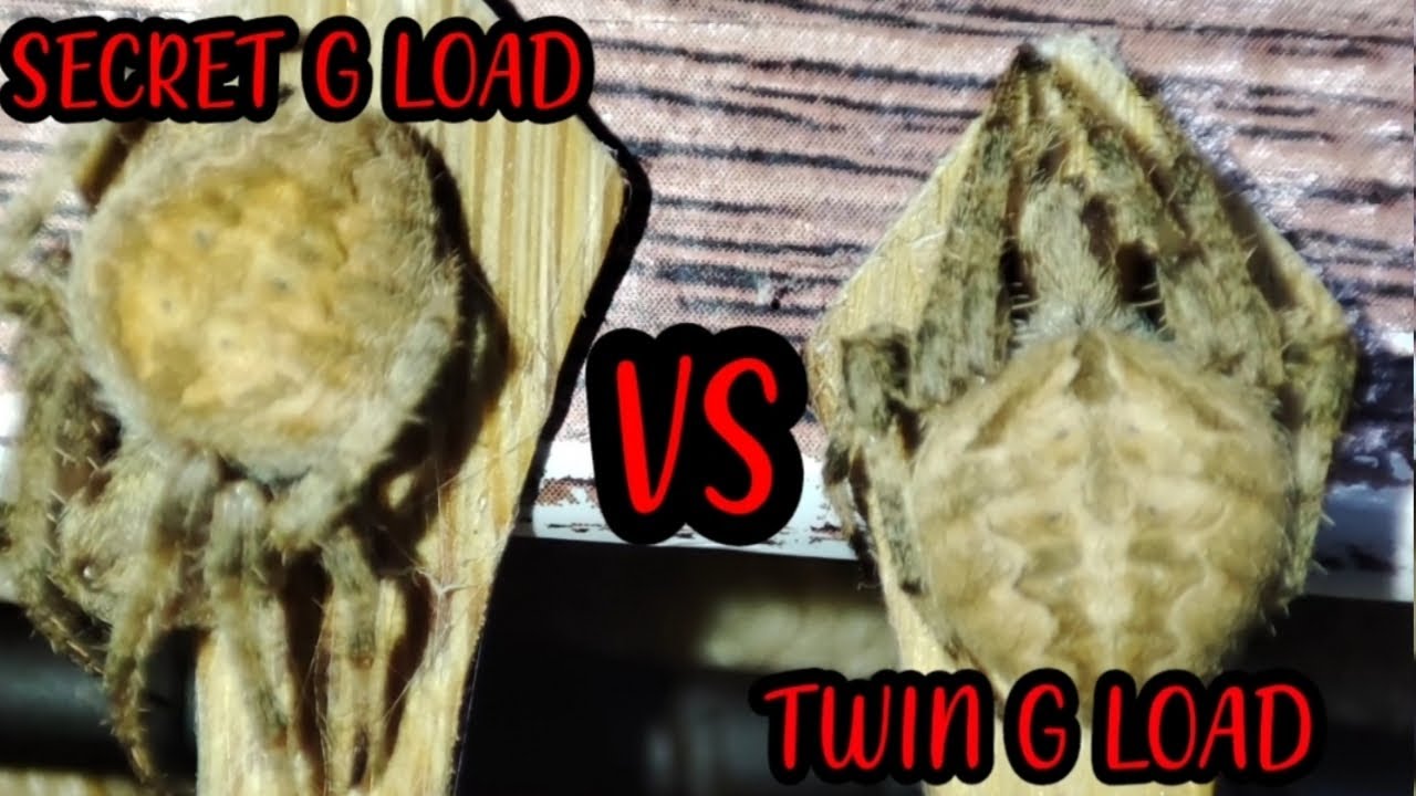 TWIN G LOAD BS SECRET G LOAD.GAME - YouTube