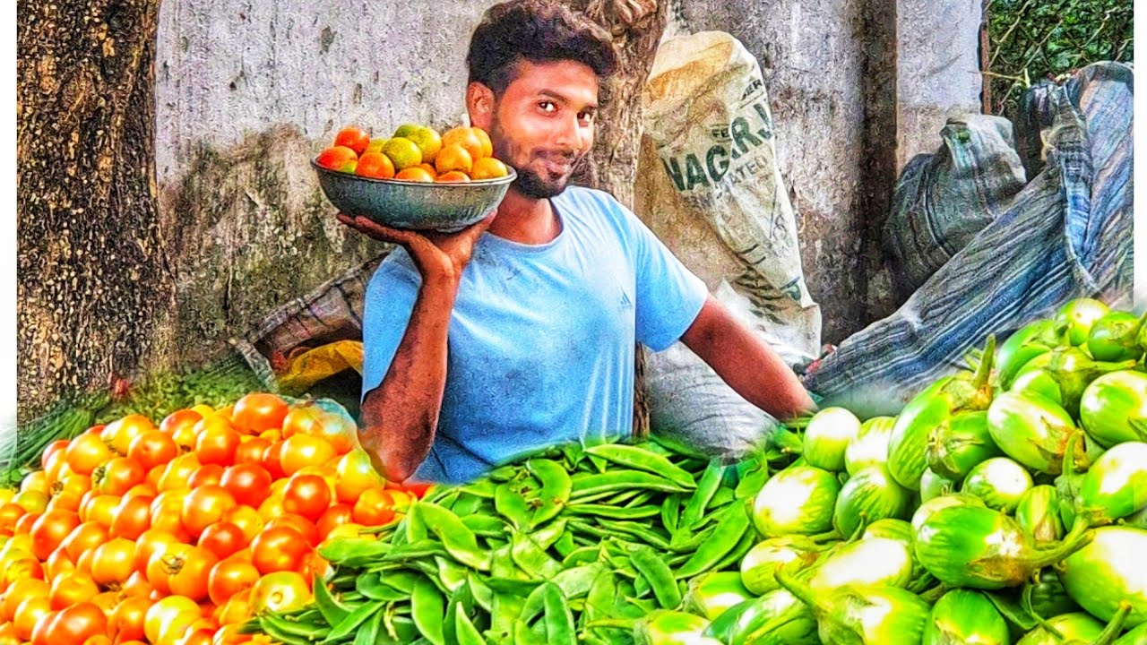 Aaj laye hamne Tamatar Papeeta Or Bas ke Plants |Jay Seware Farmer ...