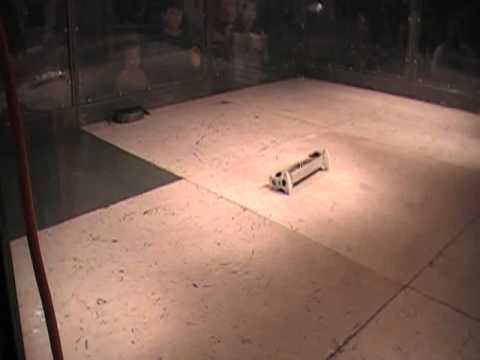 NW Model Hobby Expo 2011 T Rex 2 0 vs  Little Fart