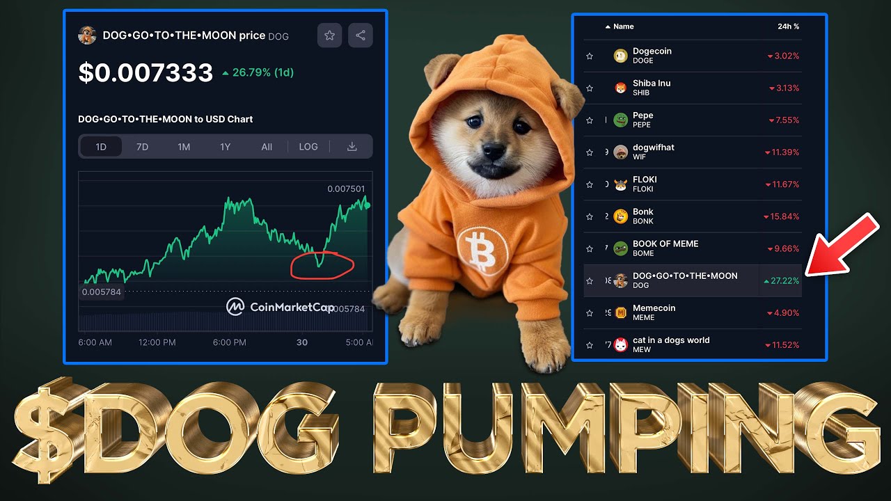 $DOG Top Performing Meme 24HRS 😱 (Binance Listing Coming) - YouTube