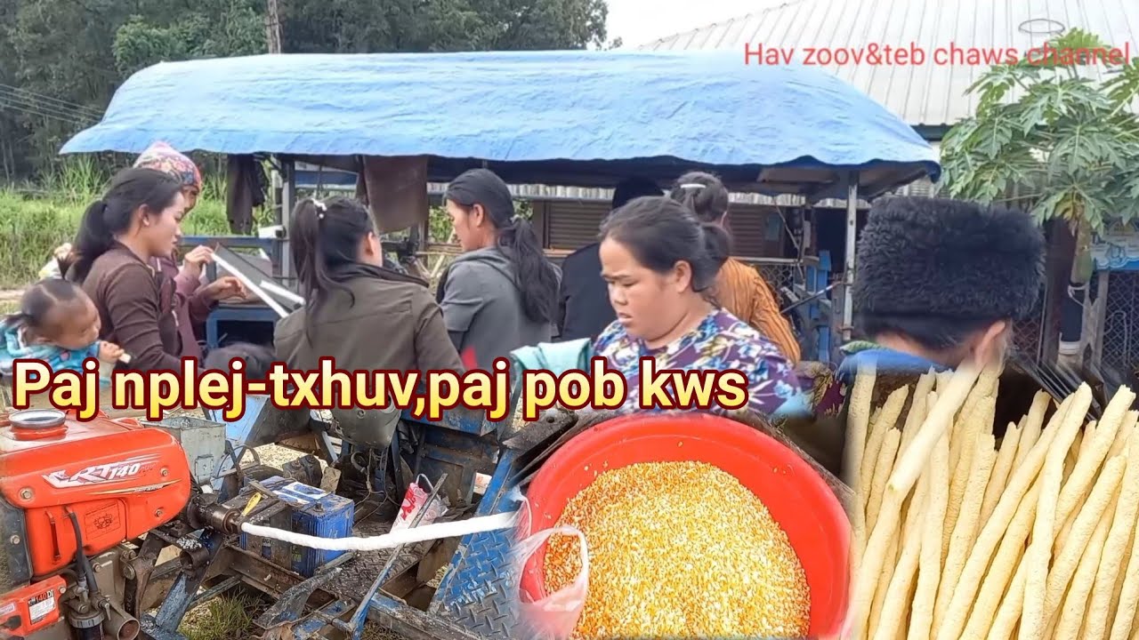 Tua paj nplej,paj pob kws noj qab kawg,make Hmong candy,เข้าหน์มกีน2021 ...