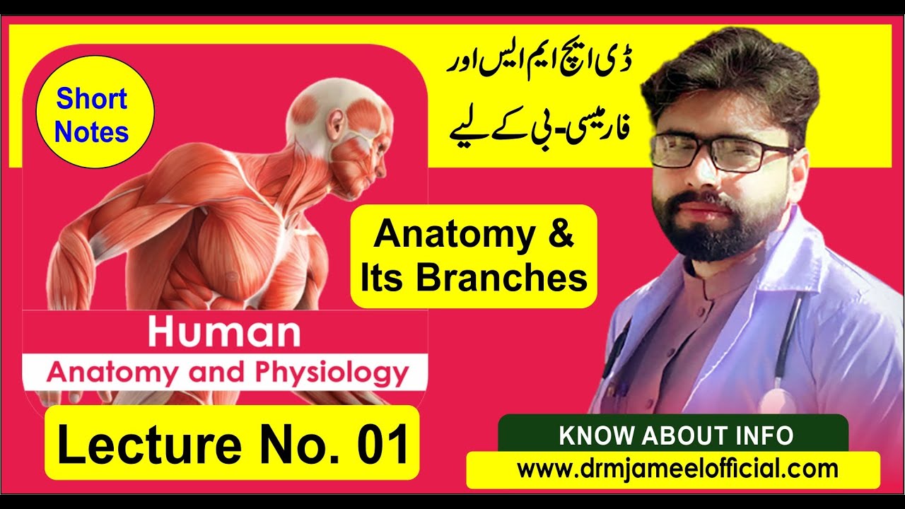 Definition of Anatomy and Branches | Know About Info | Anatomy and ...