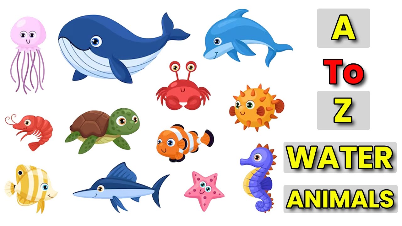 A to Z Water Animals Name || पानी में रहने वाले जीवों के नाम || Facts ...