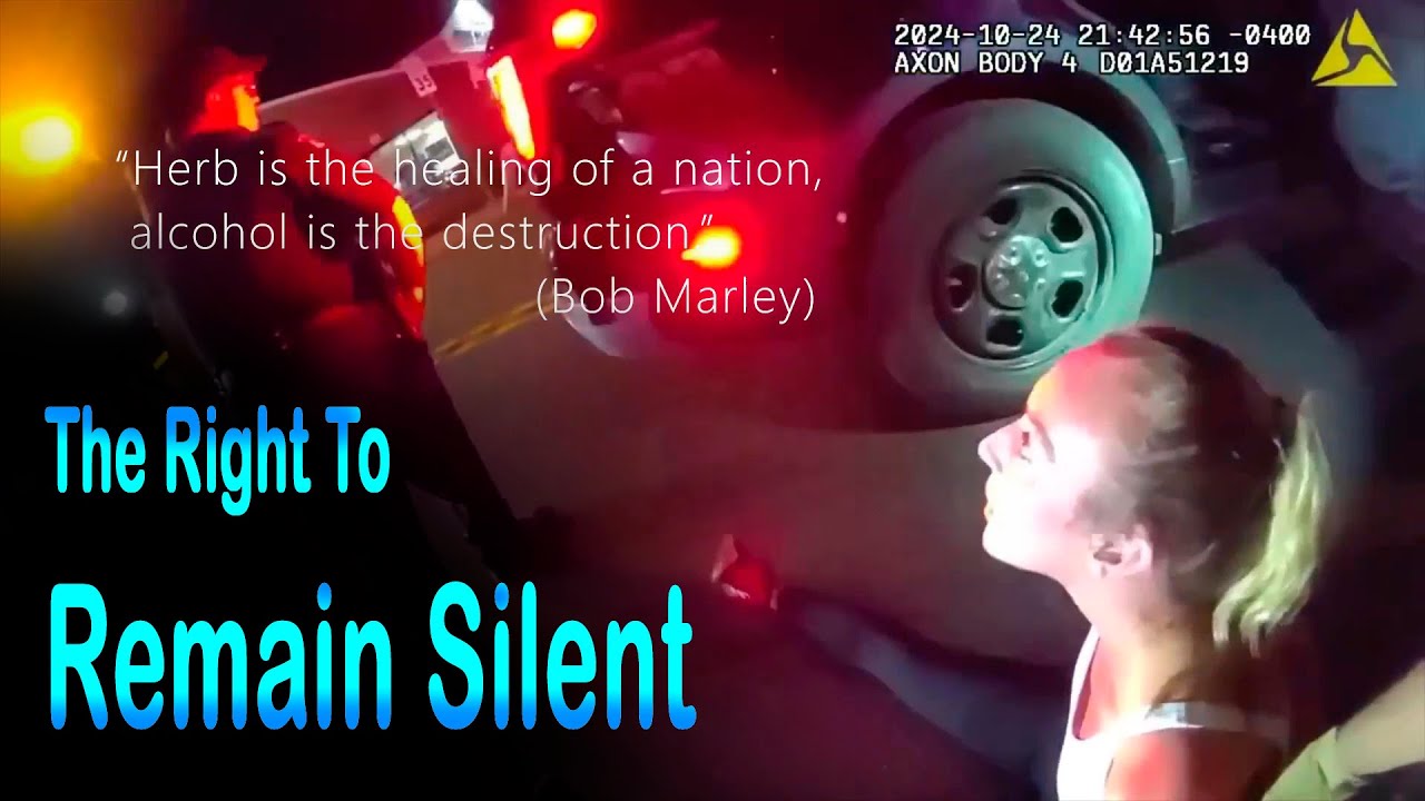 Right To Remain Silent : Drunk Loser Boozer Karen : Comedy of Life ...
