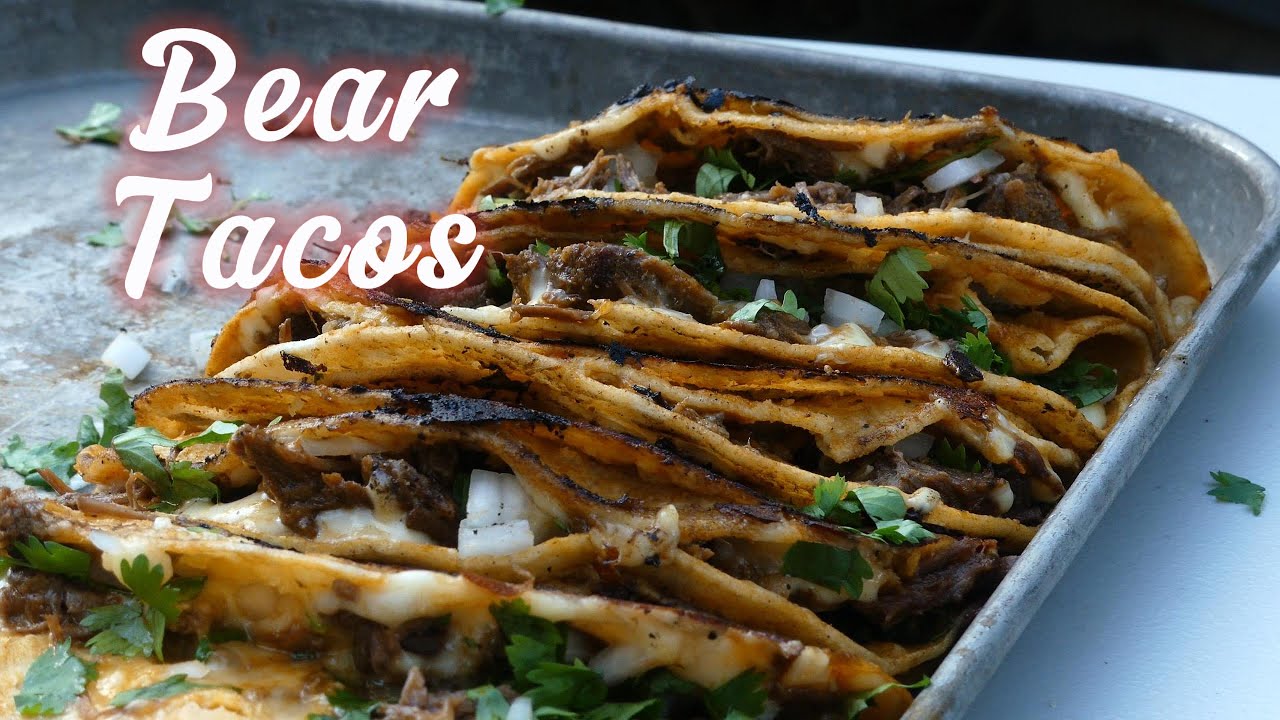 The best bear recipe you will ever try! (Birria bear tacos) - YouTube