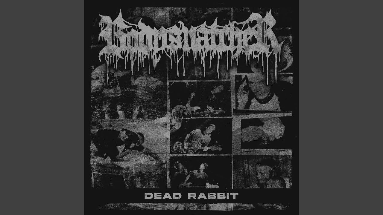 Dead Rabbit - YouTube