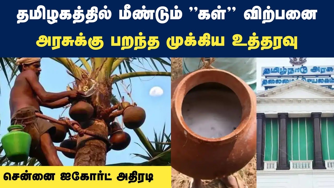மீண்டும கள் விற்பனை | panai maram kallu latest tamil news | hight court ...