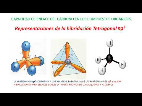 QUÍMICA ORGÁNICA. VIDEO 1. HIBRIDACIÓN DEL CARBONO - YouTube
