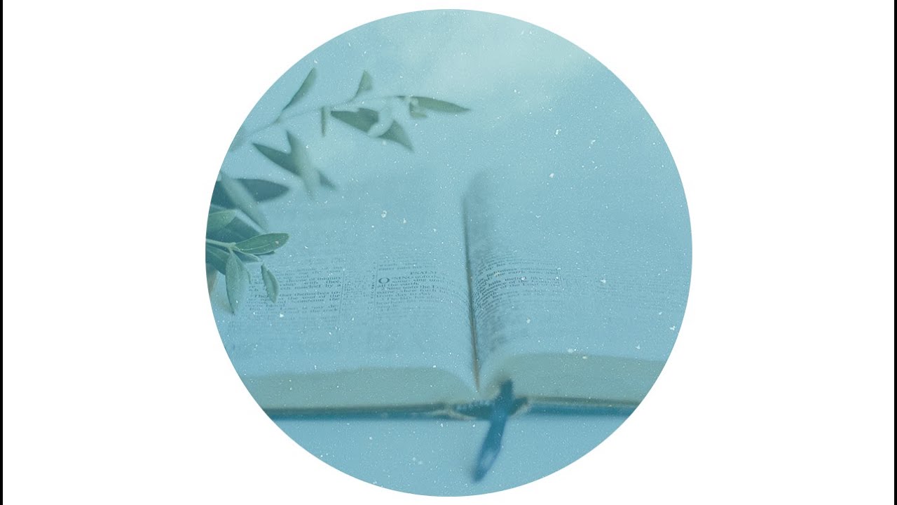 OASIS Update | August 13th 2023 - YouTube