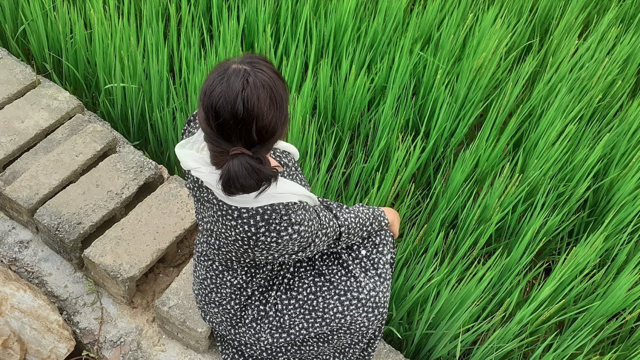 AFULAI - Angu Bhutia × Barsha Thapa ( Raw Cover 💚🌿) || 2022 || - YouTube