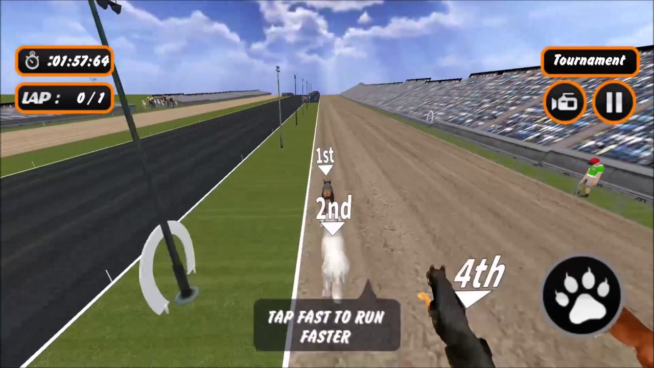 Wild Grey Hound Dog Racing - Android HD Gameplay - YouTube