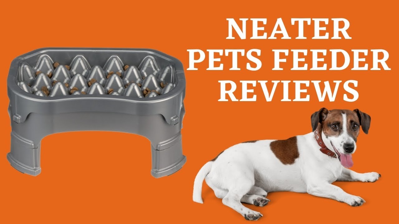 Neater Pets Feeder Reviews 2023 | Pets Products Review | Buying Guides ...