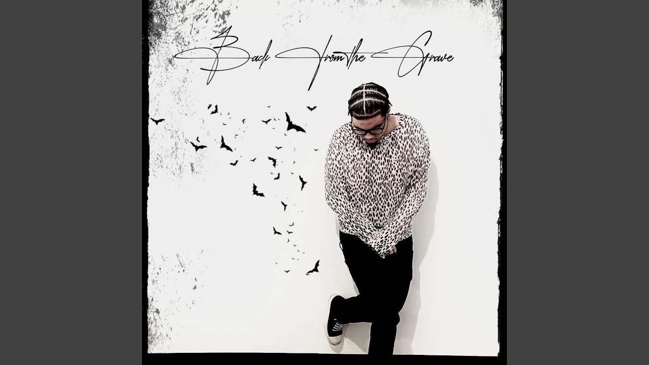 shell catcher - YouTube