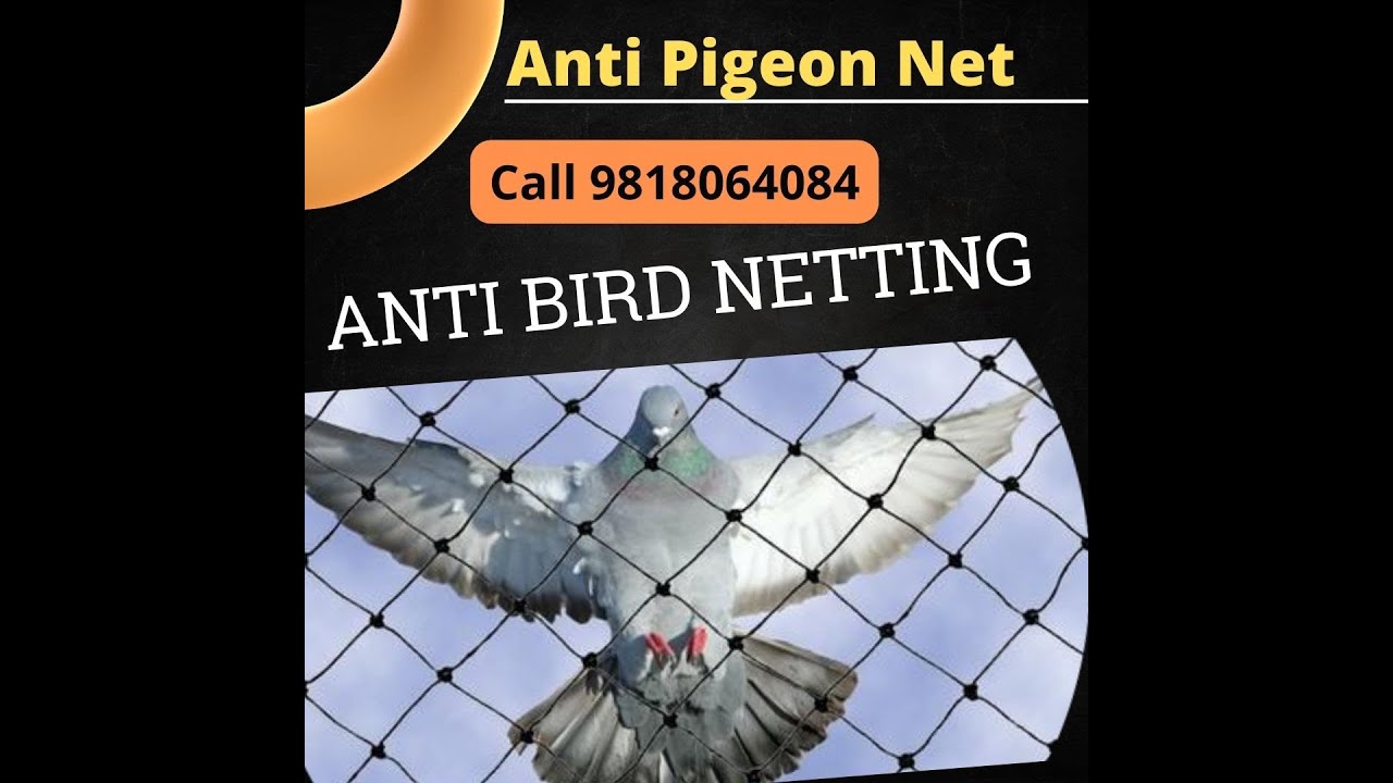 Best quality bird netting and Installation service by Anti Pigeon Net ...