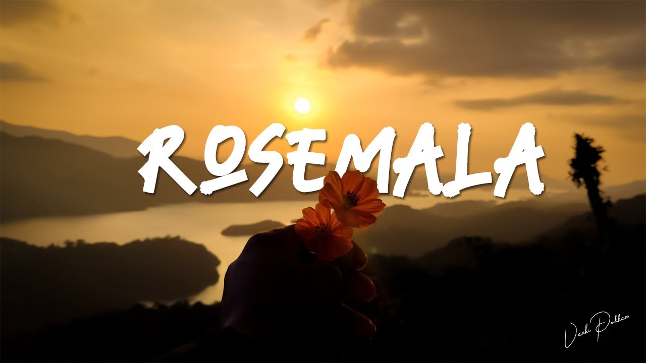 ROSEMALA CINEMATIC TRAVEL VLOG | THE REAL BEAUTY OF FOREST | - YouTube
