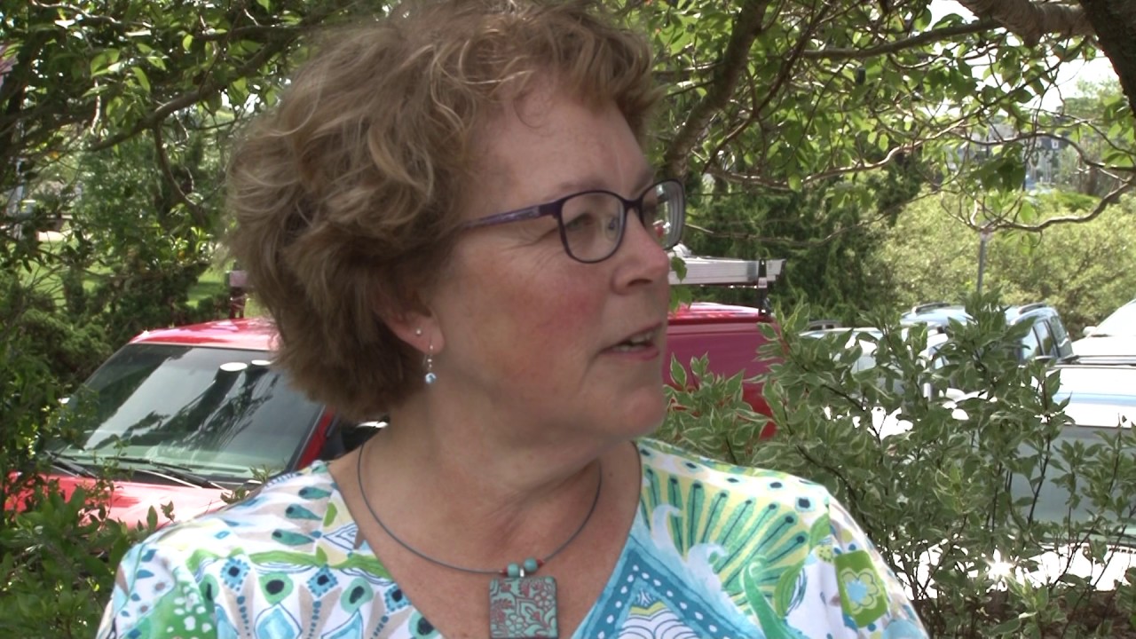 Artist - Betsy Payne Cook - YouTube