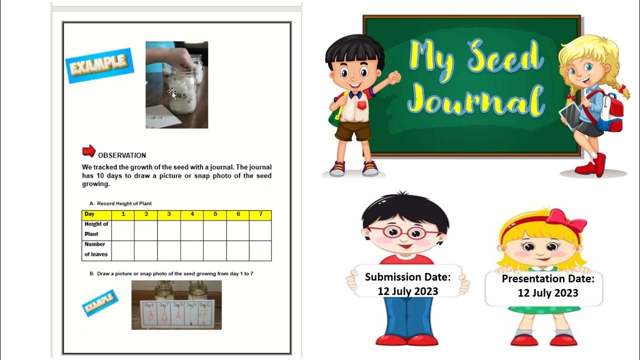 My Seed Journal - YouTube