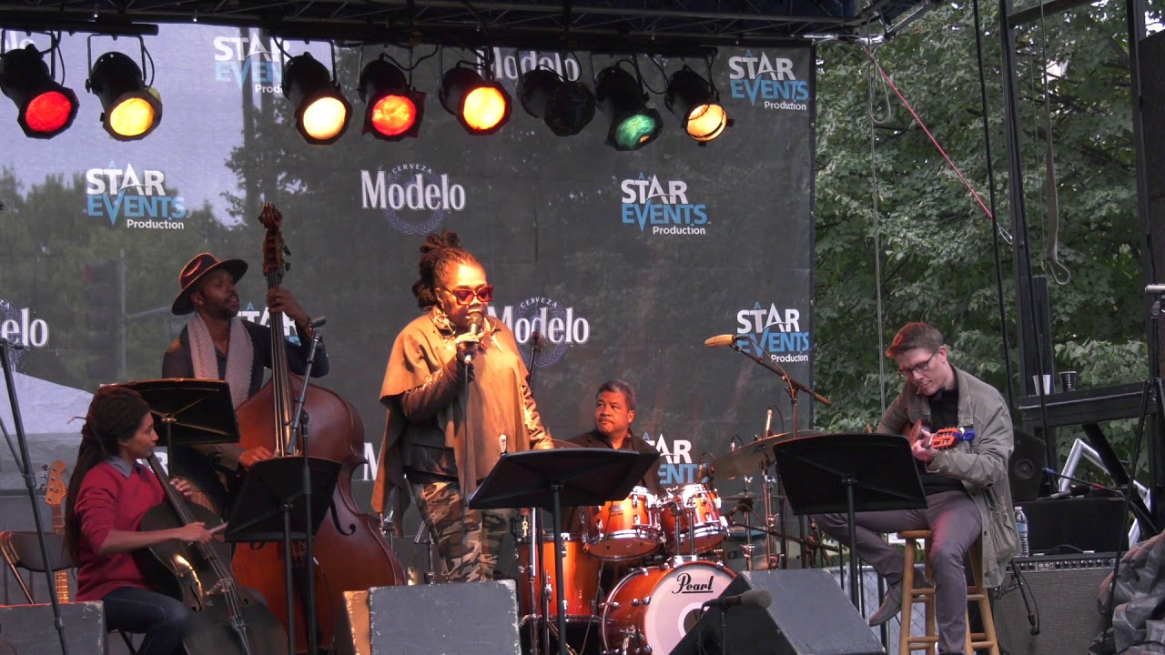 Dee alexander at the Hyde Park Jazz fest pt 2 - YouTube