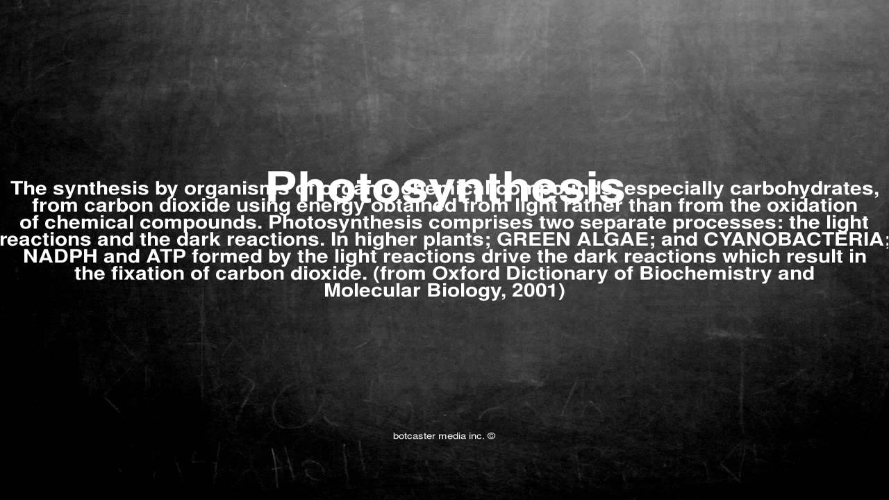 Medical Vocabulary What Does Photosynthesis Mean YouTube medical-vocabulary-what-does-photosynthesis-mean-youtube
