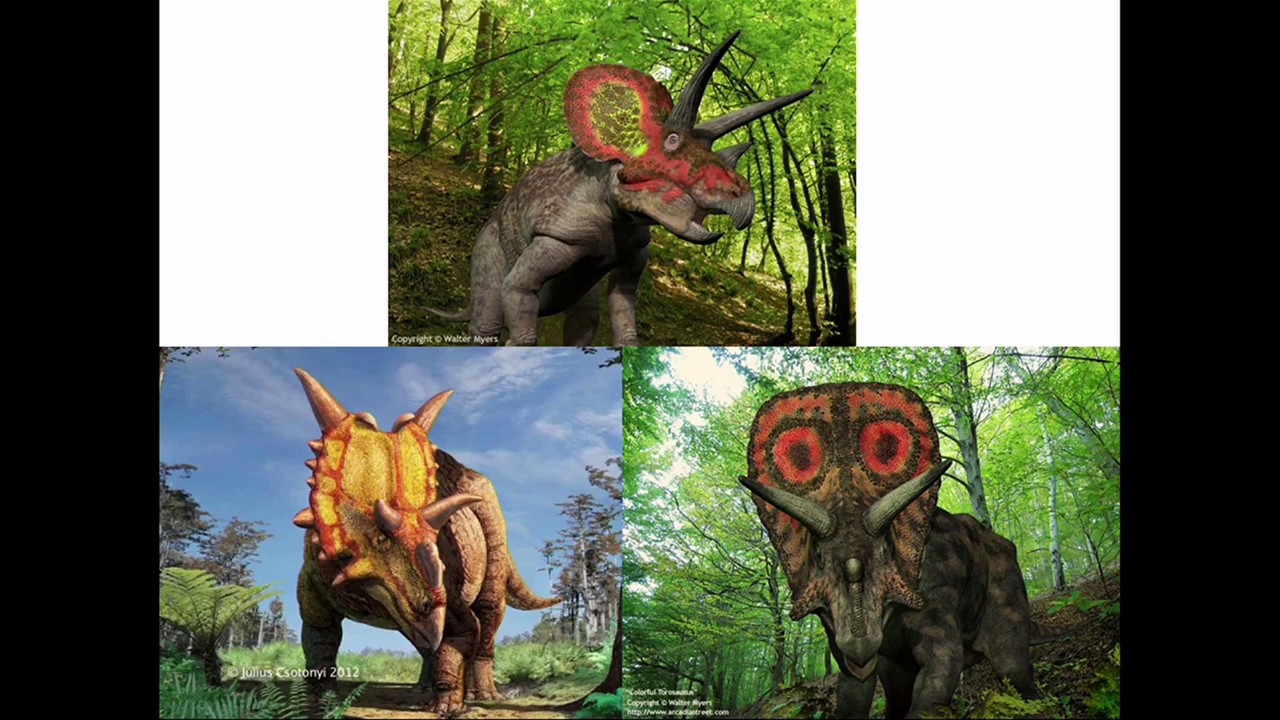 Regaliceratops: What this New Horned Dinosaur Tells us About The ...