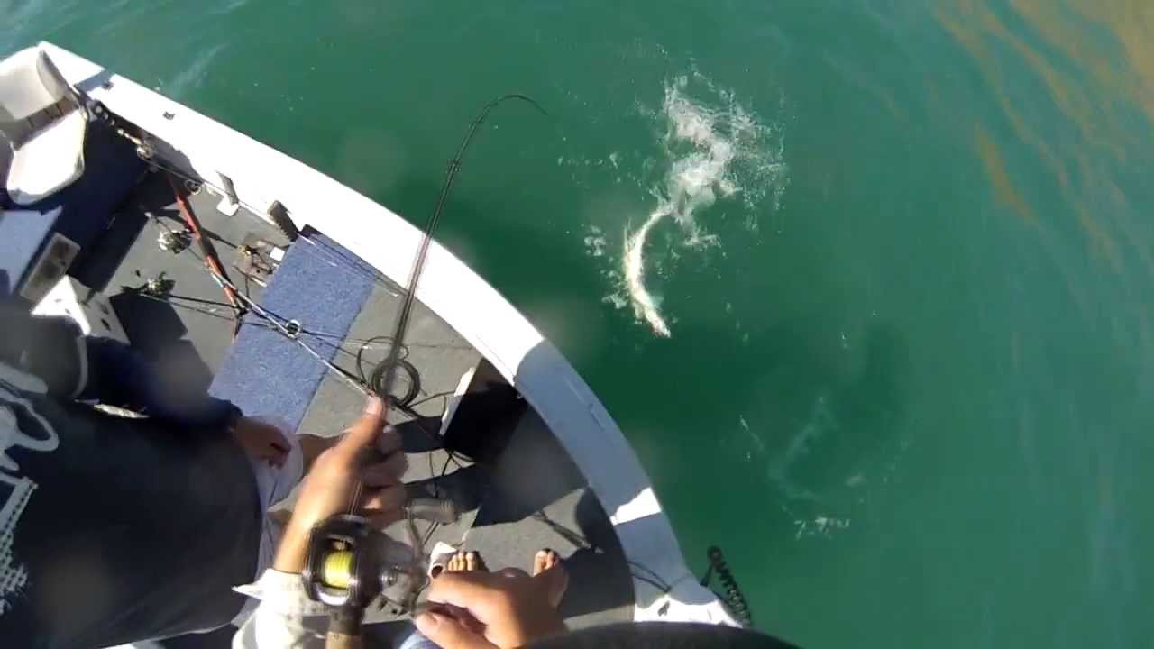 Cape Fishing Trip - YouTube