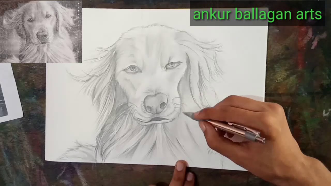 How to draw dog shading drawing timelepse video.. Part 2 - YouTube