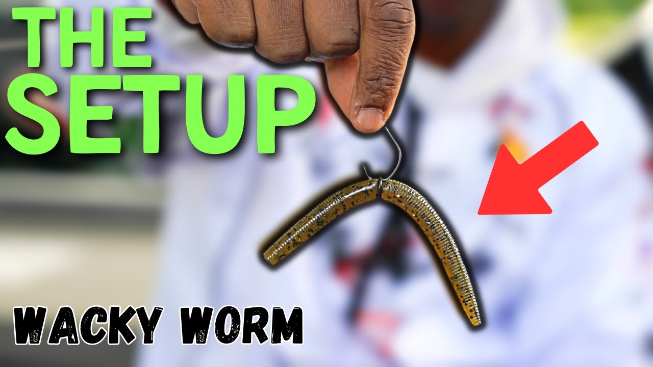This WACKY WORM Setup Has WON Me A Lot Of MONEY - YouTube