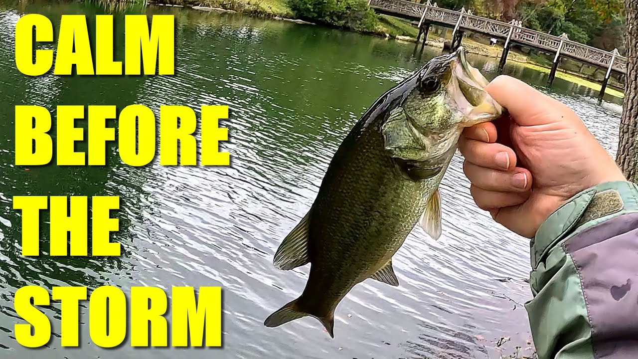 Rod-Swapping and Pond-Hopping - Fishing NJ Ponds Before a Nor'easter ...