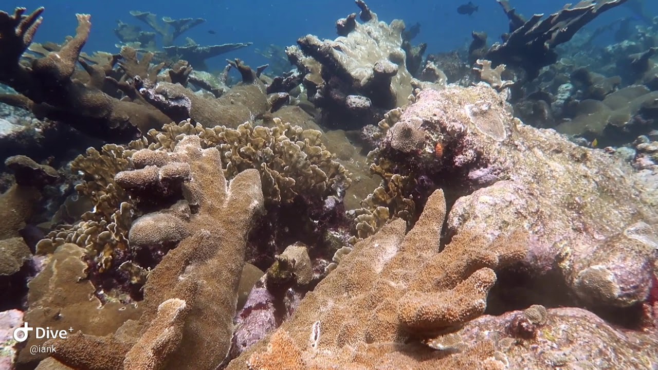 Boca Onima, East Coast of Bonaire - YouTube