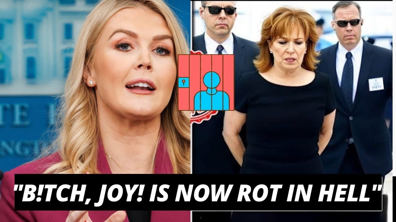 Joy Behar arrested attempting to flee after $50M lawsuit, Karoline ...