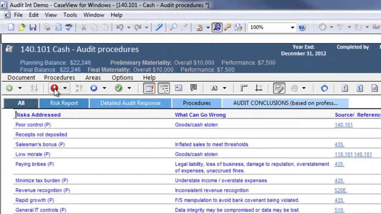 CaseWare Audit: Documenting Identified Risk - YouTube