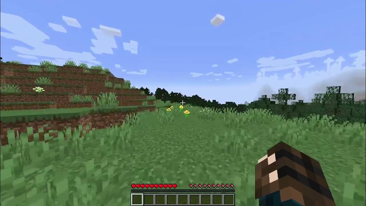 How To Toggle Sprint in Minecraft - YouTube