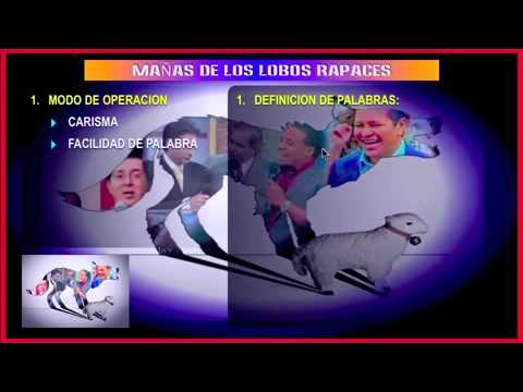 MA AS DE LOS LOBOS RAPACES 1ra PARTE DE 2 - YouTube
