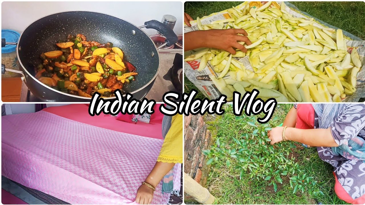 June 12 || Indian Silent Vlog || Daily Cooking Vlog || 4th day in my ...