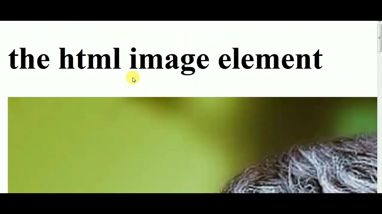 The Html Image Tag Coding Htmltags Html Html5 Htmltutorial Youtube